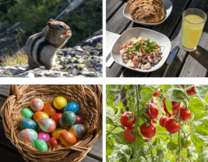 Adobe Indigo: The Next Evolution of Computational Photography